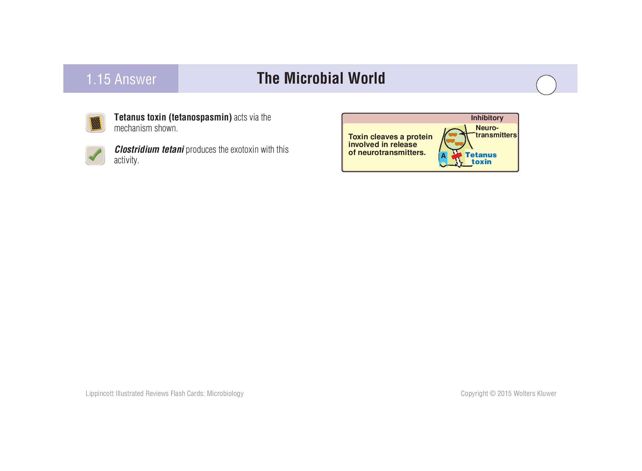Microbiology Flashcards | Memorang